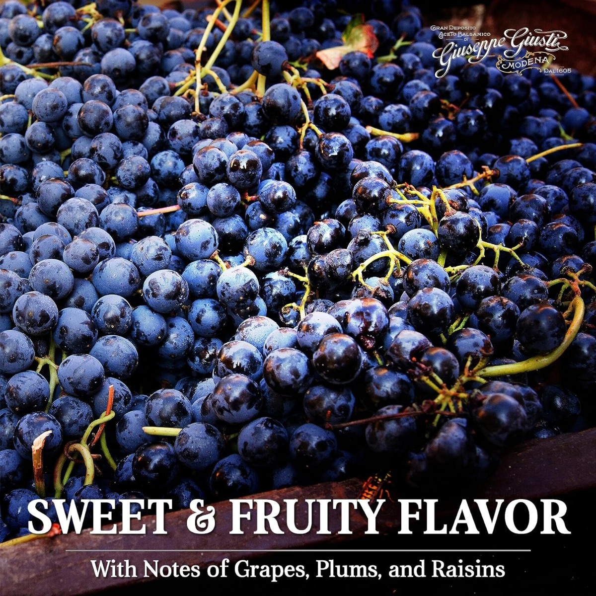 Giuseppe Giusti Saba Cooked Grape Must (250 ml)